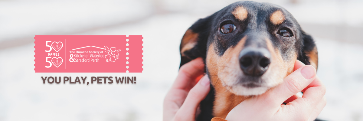 The Humane Society of Kitchener Waterloo & Stratford Perth – Opening Soon