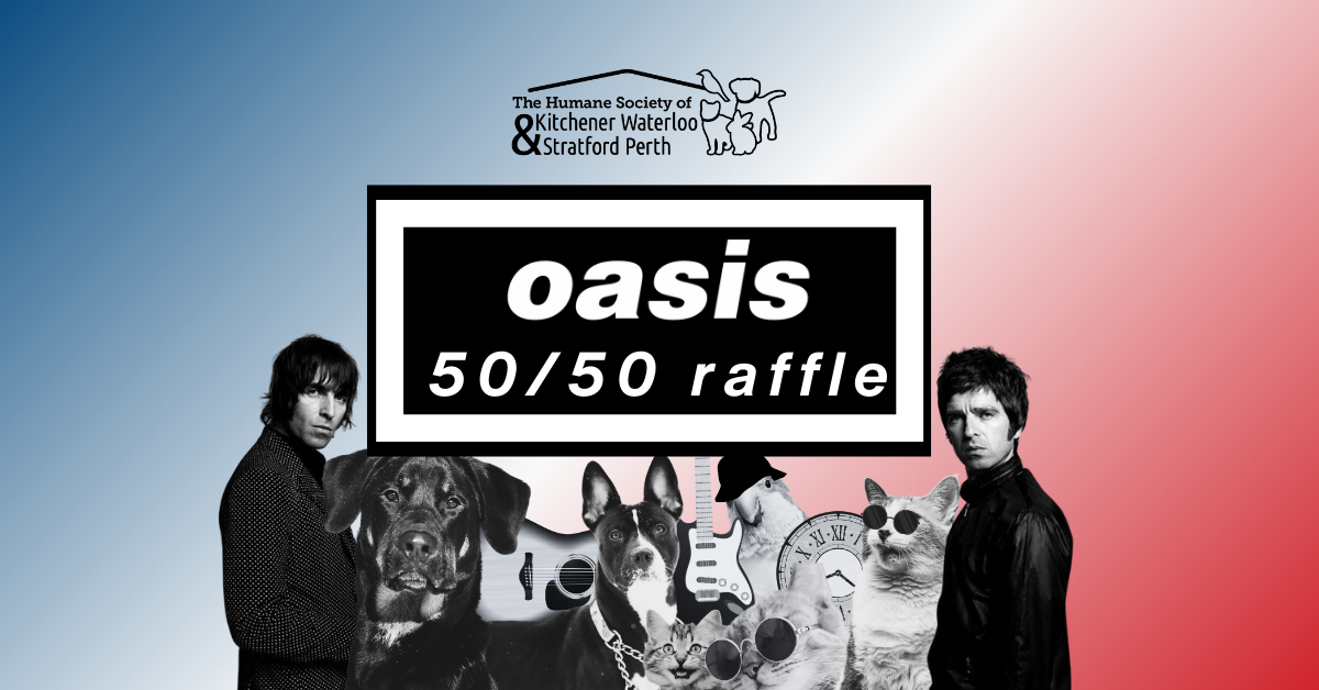 Official Oasis 50/50 Raffle Participation Rules – The Humane Society of ...